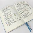 Bullet Journal Guide: Daily Log - Fuzzable