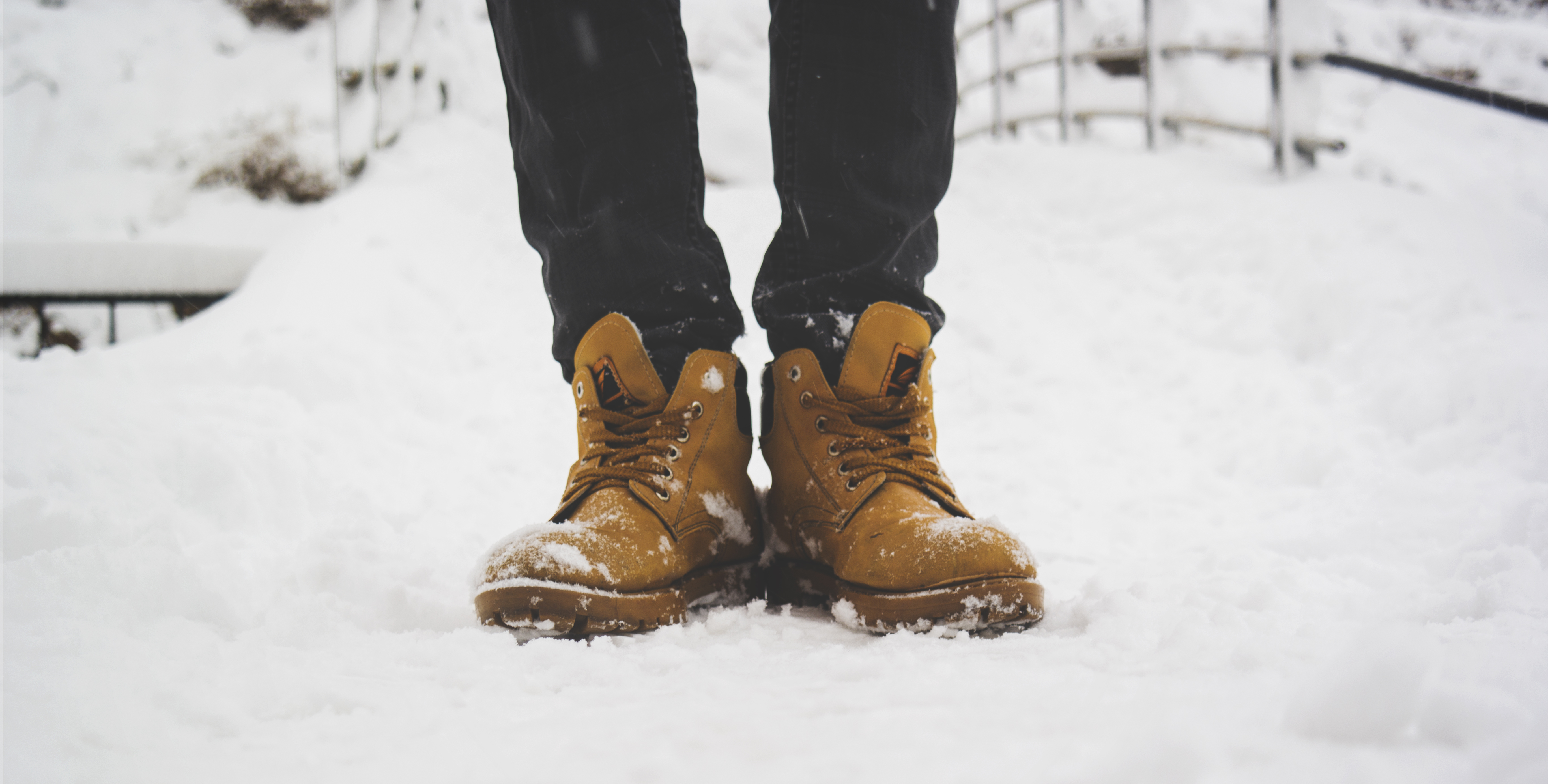 5 ways to spend the day if you're stuck at home because of the snow ...