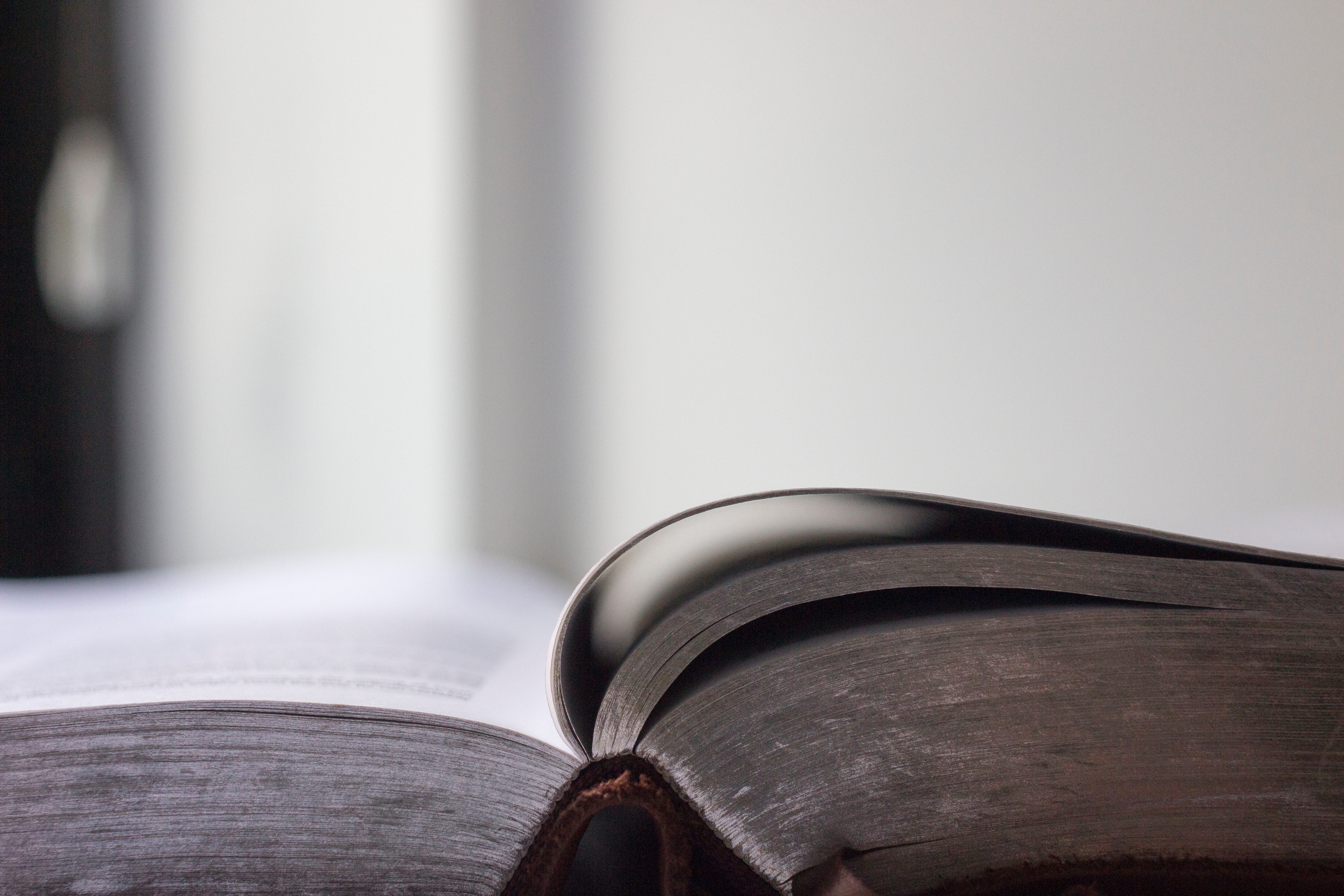 Book Review: 'The Hidden Oracle' by Rick Riordan - Fuzzable